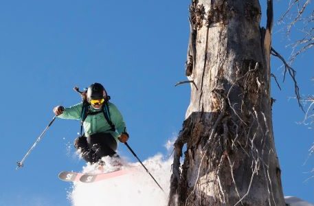 How to Choose the Right Ski Width - Powder7 Lift Line Blog ...